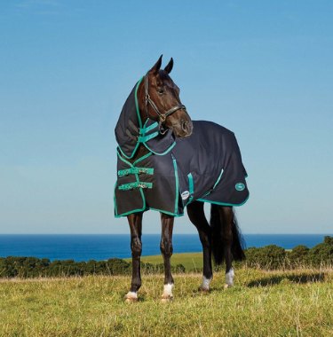 Equestrian Products & Polo Equipment - Tally Ho Farm Ltd