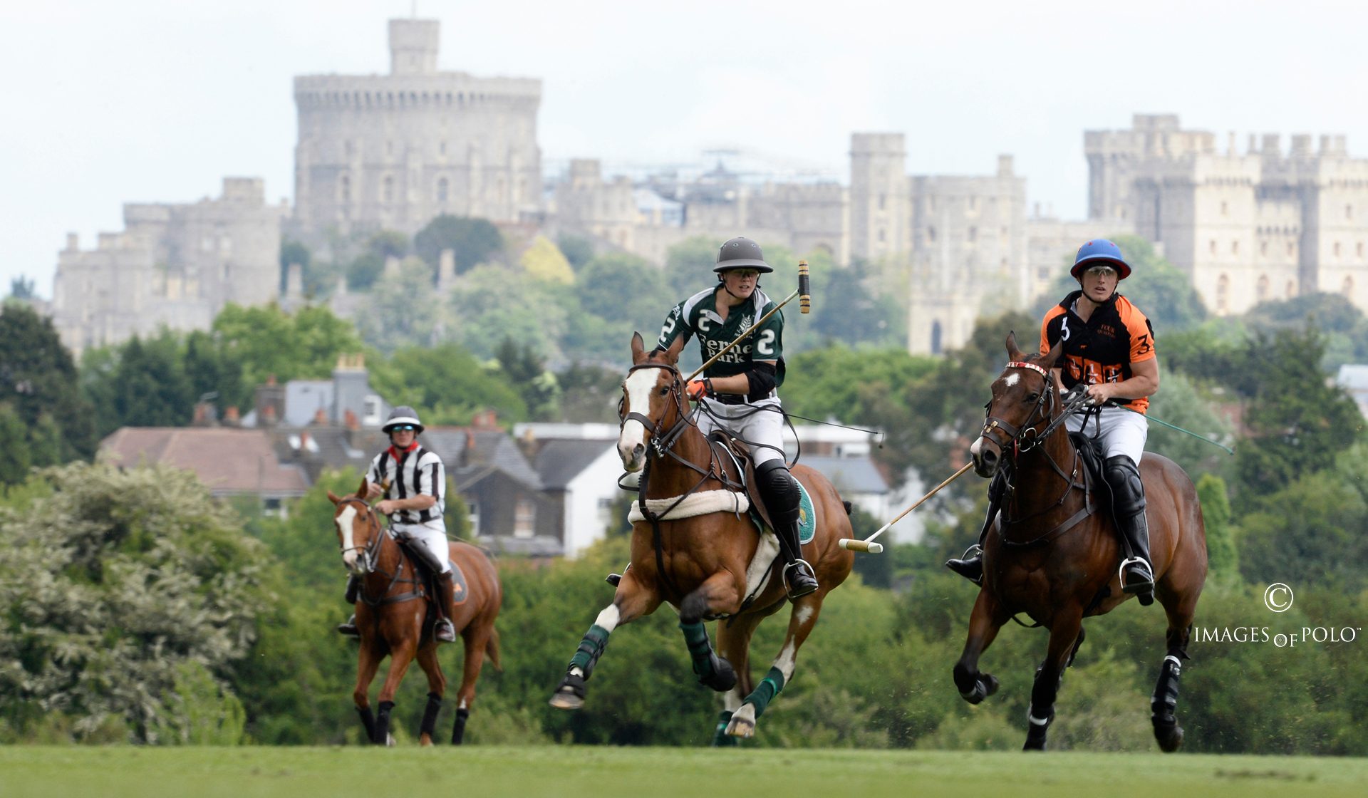 Equestrian Products & Polo Equipment - Tally Ho Farm Ltd