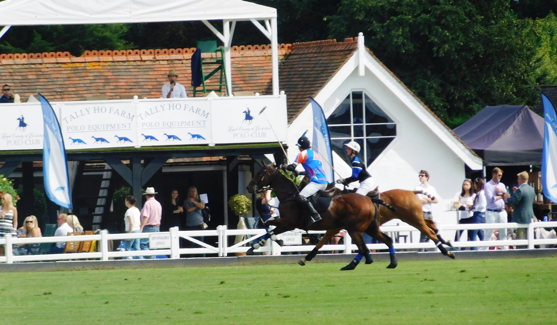 Equestrian Products and Polo Equipment. - Tally Ho Farm Ltd