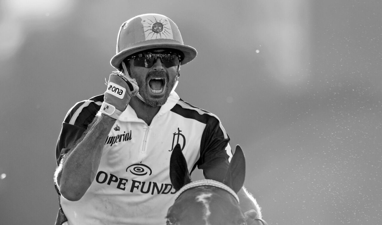 Equestrian Products and Polo Equipment. - Tally Ho Farm Ltd