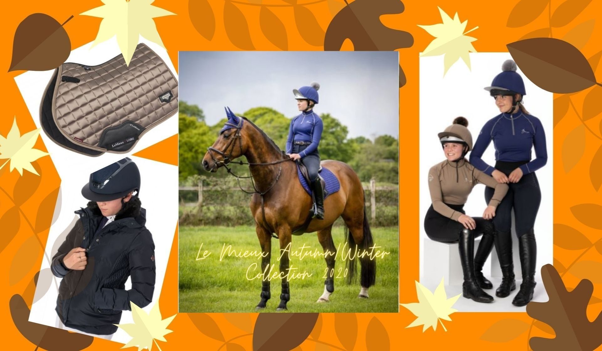 Equestrian Products & Polo Equipment - Tally Ho Farm Ltd