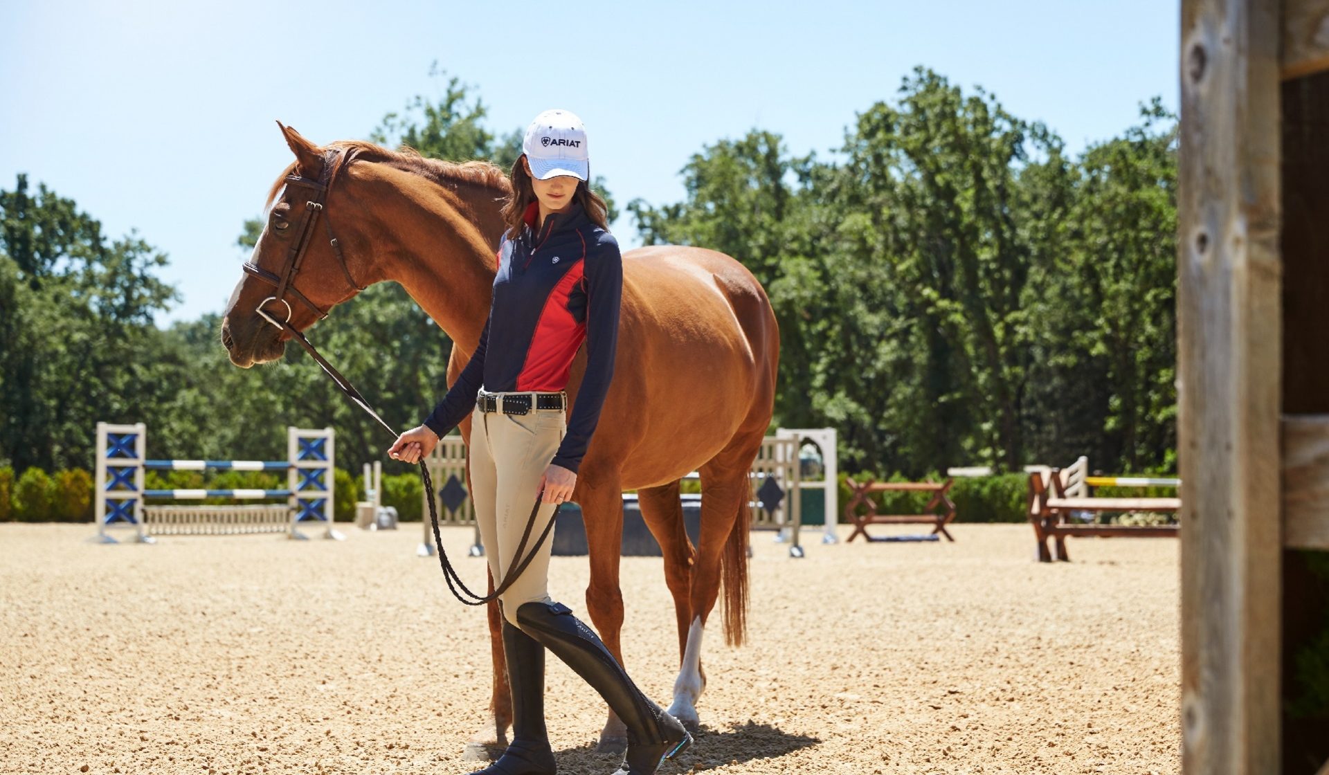 Equestrian Products and Polo Equipment. - Tally Ho Farm Ltd