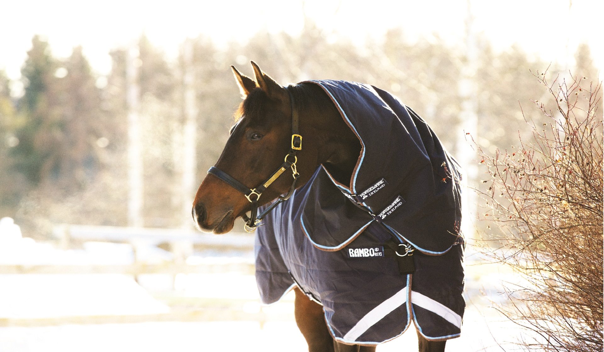 Equestrian Products and Polo Equipment. - Tally Ho Farm Ltd