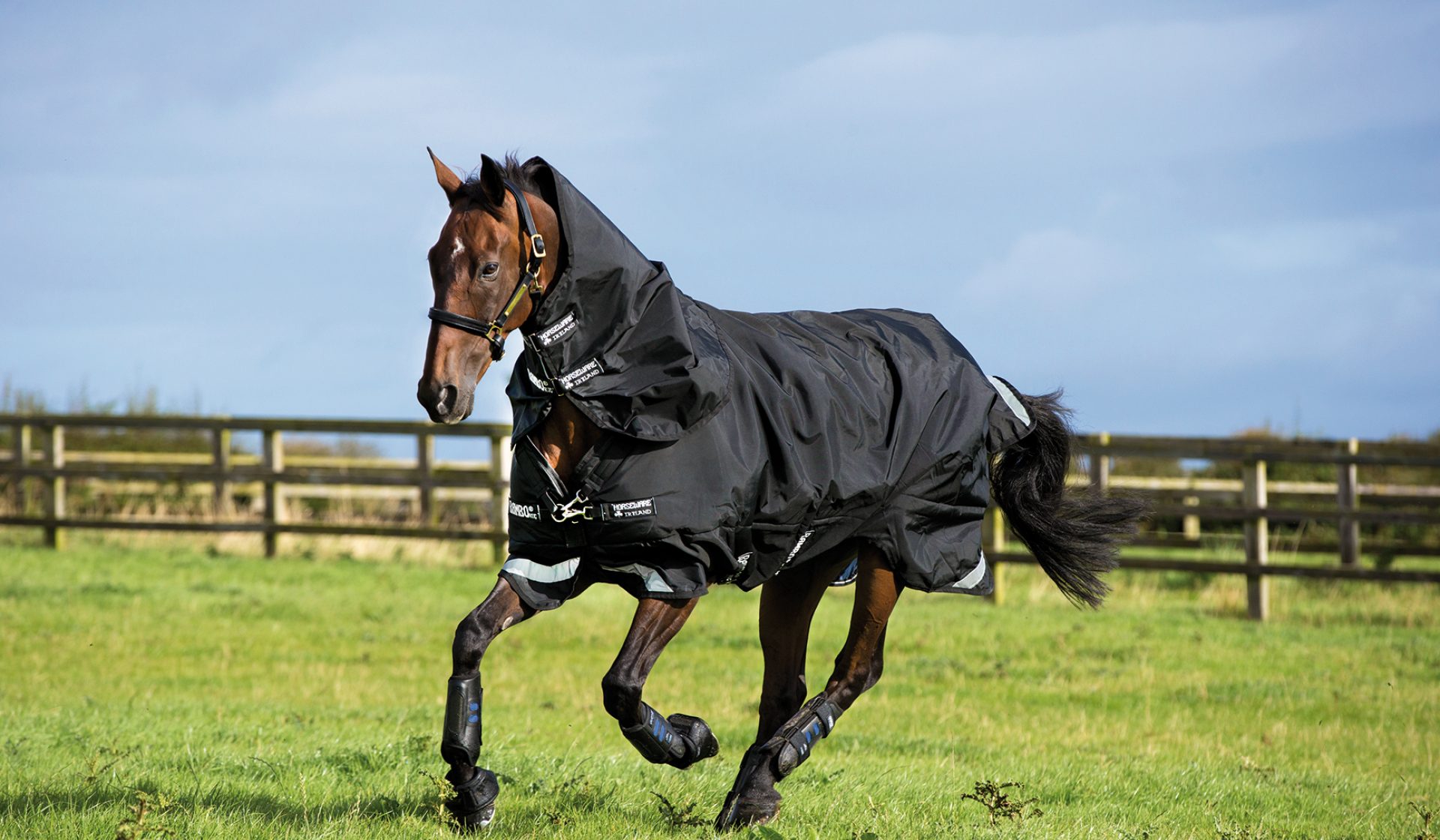 Equestrian Products and Polo Equipment. - Tally Ho Farm Ltd