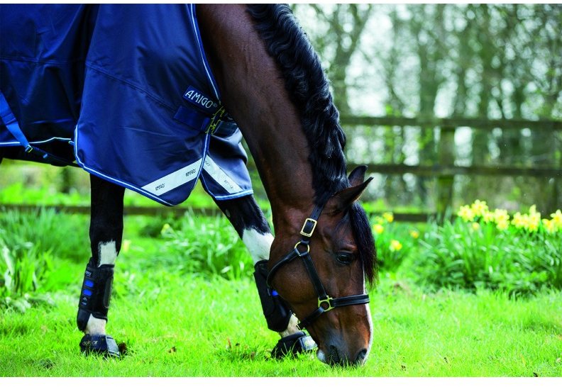 Horseware Amigo Bravo 12 Original Turnout Rug - Tally Ho Farm Ltd