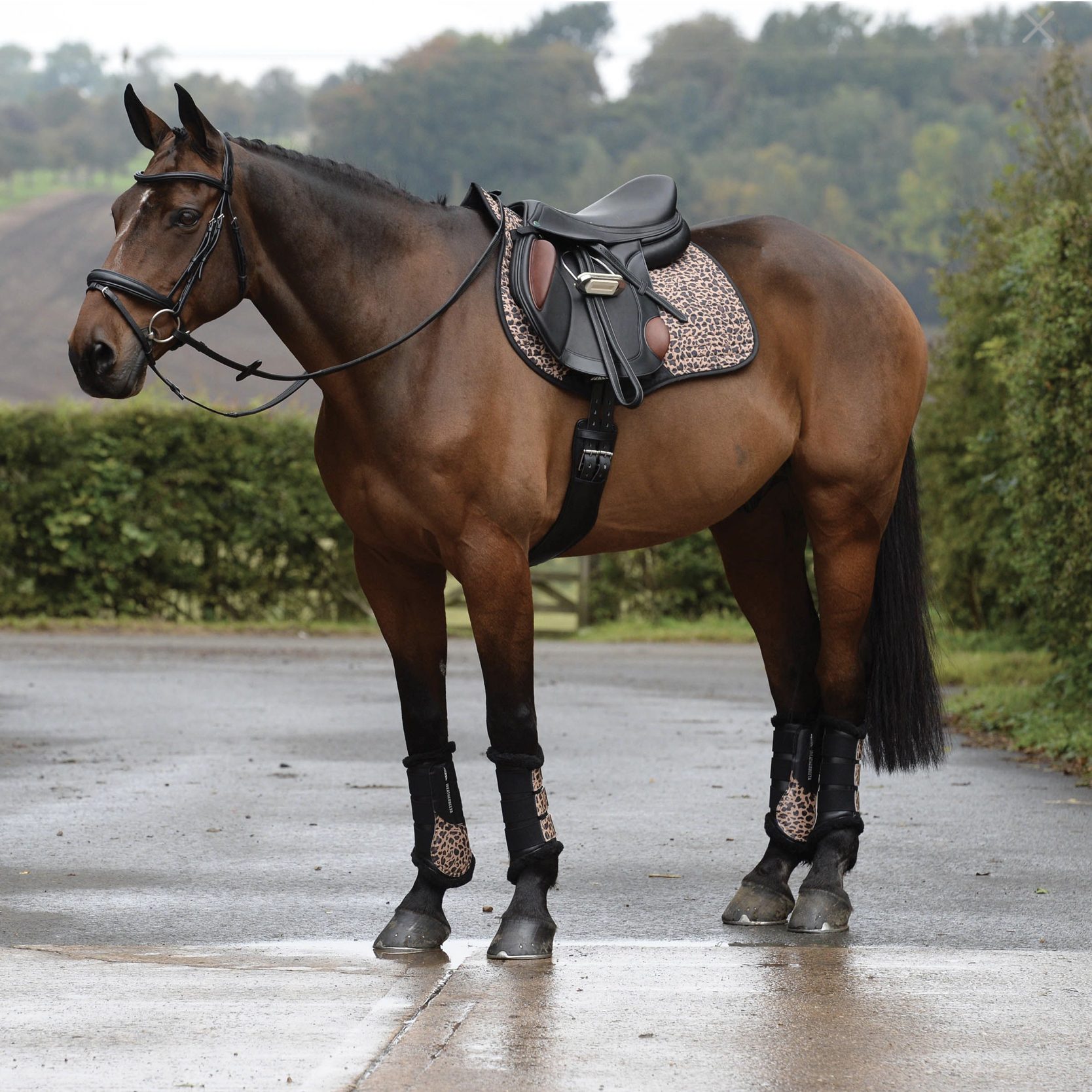 Weatherbeeta Prime Leopard All Purpose Saddle Pad - Tally Ho Farm Ltd