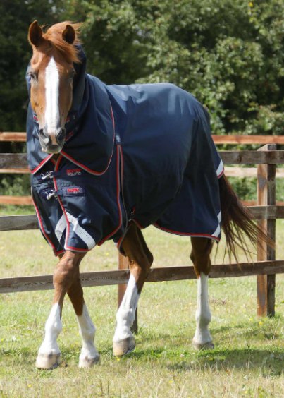 Premier Equine Buster 50g Turnout Rug with Snug-Fit Neck Cover ...