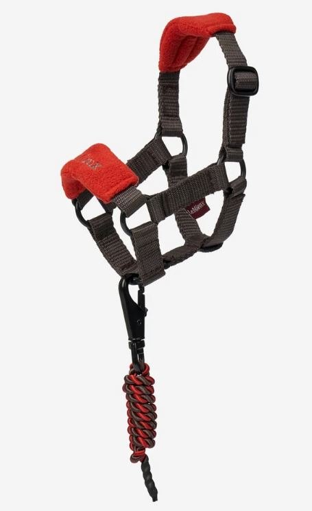 Mini Le Mieux Pony Headcollar - Toys - Tally Ho Farm Ltd