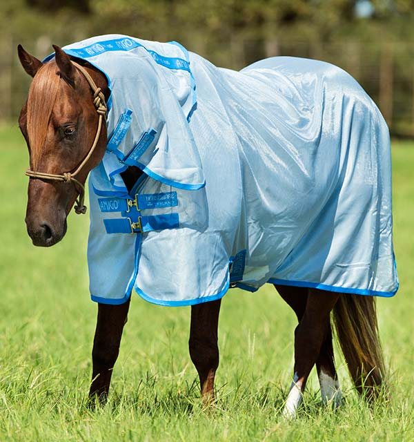 Horseware Amigo Bug Rug Azure Blue - Horse - Tally Ho Farm Ltd