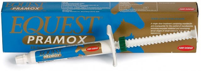 Equest Pramox Equine Wormer Oral Gel - Tally Ho Farm Ltd