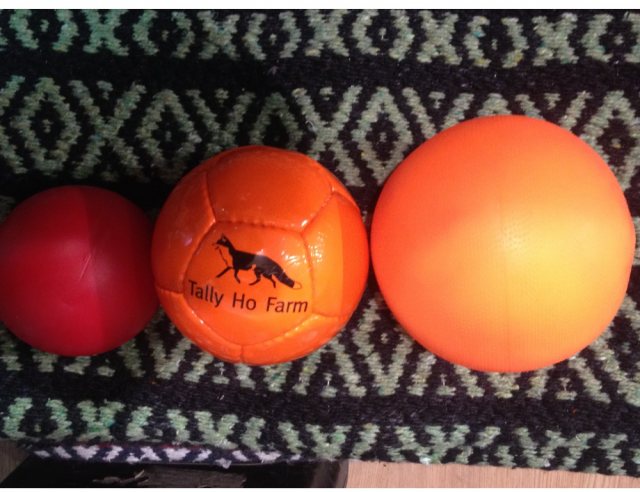 Official Match Arena Polo Balls - Tally Ho Farm Ltd