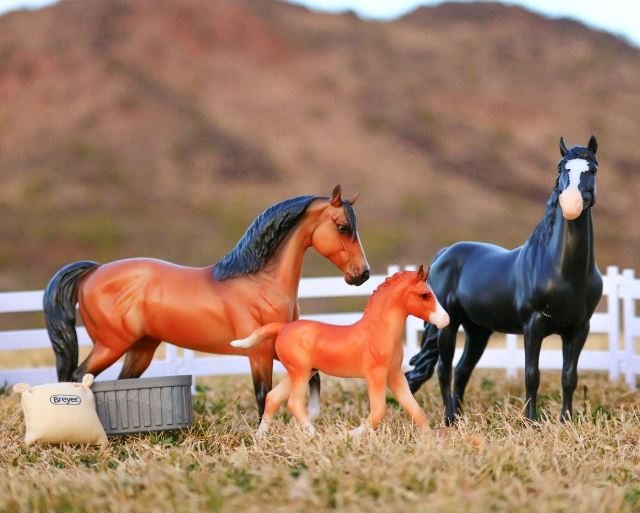 Breyer Spanish Mustang Family - Toys - Tally Ho Farm Ltd